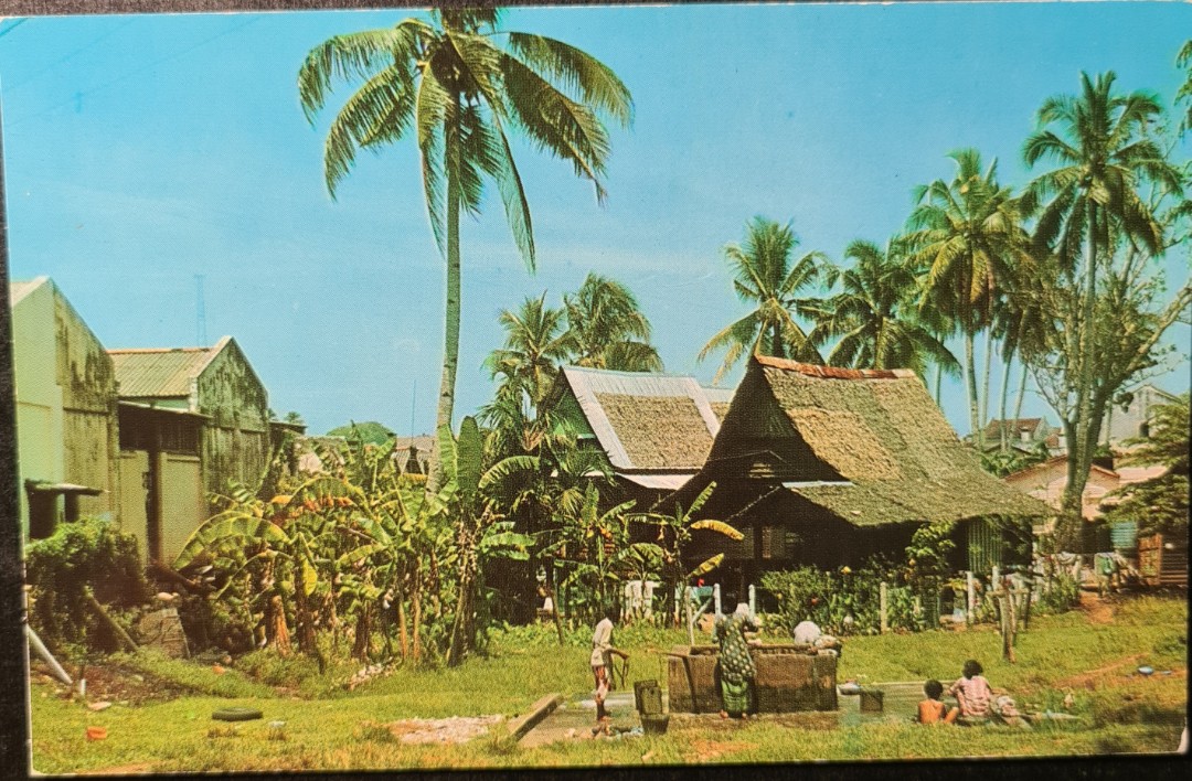 Malaya 1950's Old Picture postcard Malay Kampong Beautiful Village ...