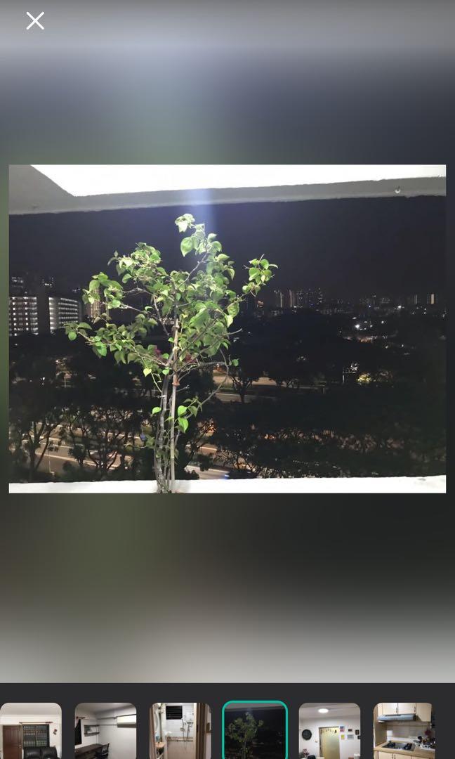 ROOM RENTAL 41 Sims Drive Sims Vista, Property, Rentals, Room Rentals ...