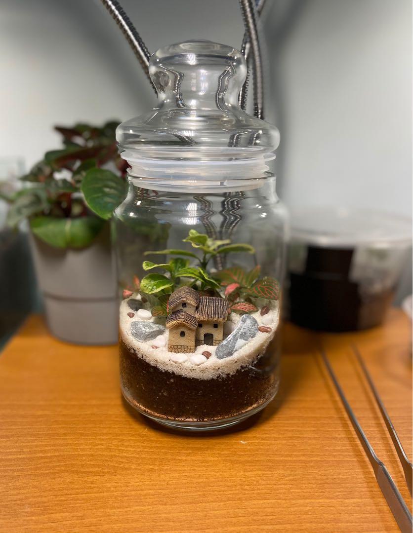 Custom Terrariums!, Furniture & Home Living, Home Decor, Artificial ...