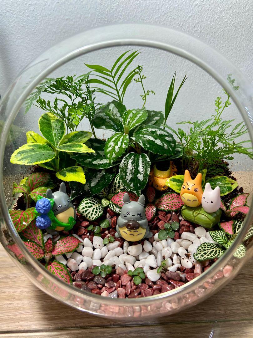 Custom Terrariums!, Furniture & Home Living, Home Decor, Artificial ...