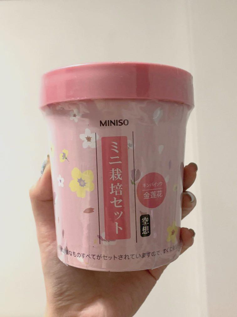 Miniso DIY Plant Seed Flower Pot, Furniture & Home Living, Home Decor ...