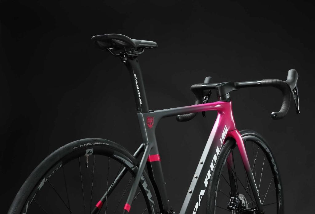 NEW Pardus SPARK EVO-Ultegra full carbon road bike shimano R8020, 運動產品 ...