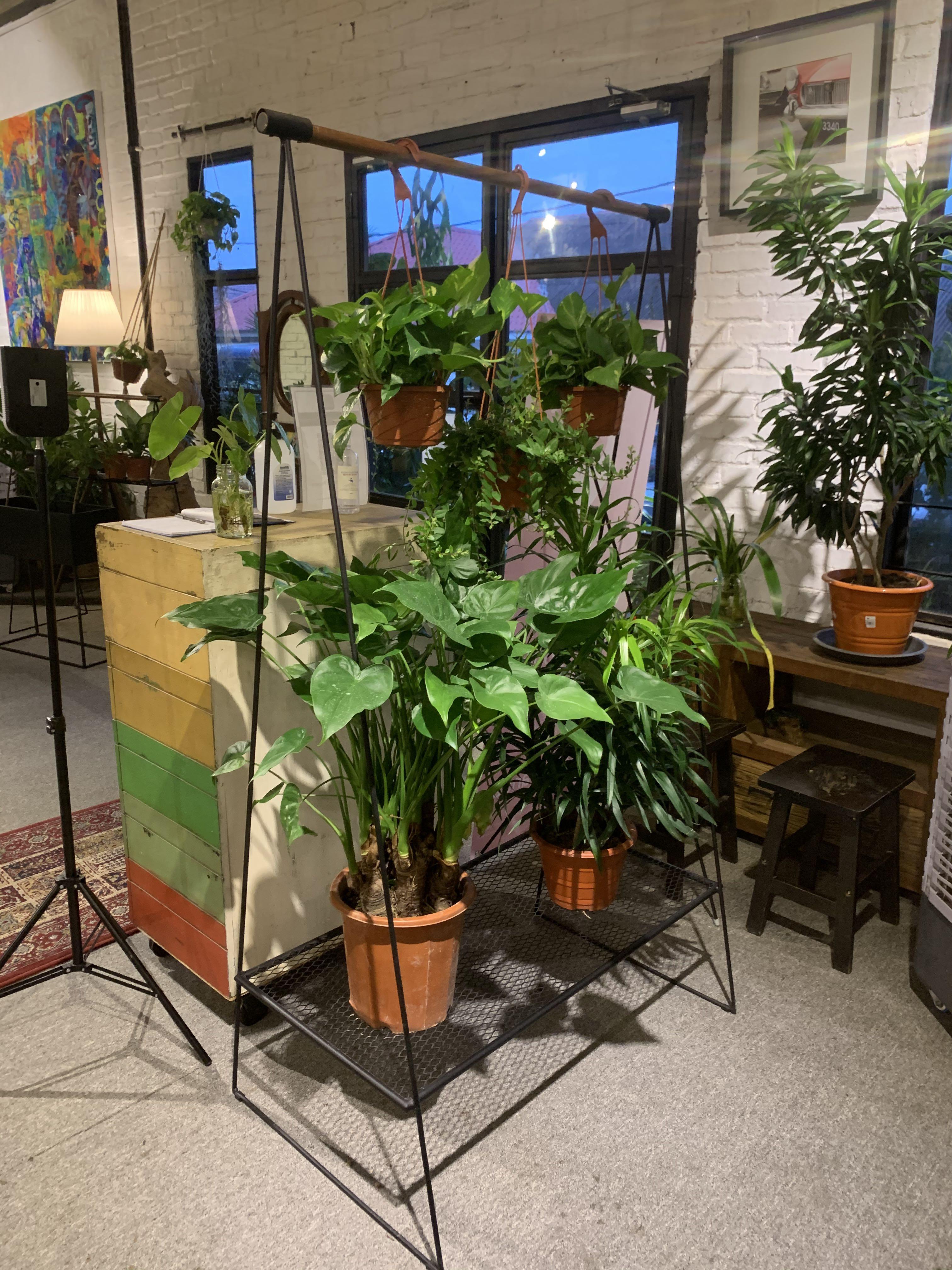 Steel Plant Stand Shelf Rack, Furniture & Home Living, Home Decor ...