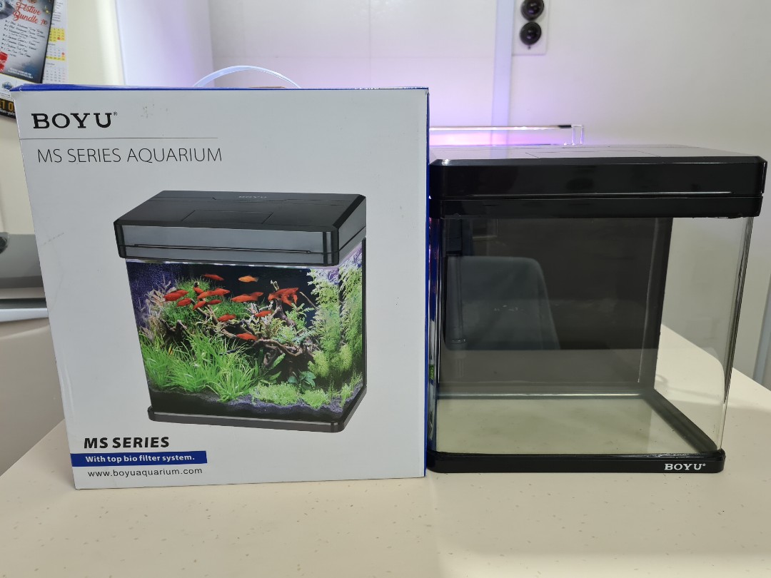 Boyu Mini aquarium, Pet Supplies, For Fish, Fish Tanks on Carousell