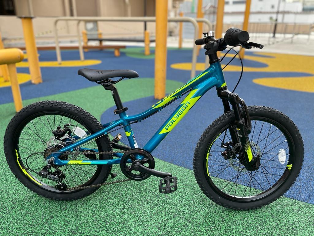 Polygon 2021 Polygon Relic 20 inch Kids Bicycle, Sports Equipment ...