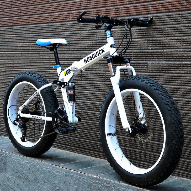 20 Inch Foldable Fatbike Fat Bike Bicycle, Sports Equipment, Bicycles ...