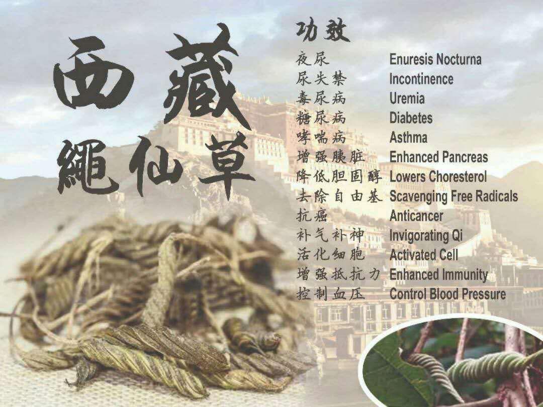 西藏绳仙草（Tibet grass rope herbs）200g each pack, Food & Drinks, Packaged ...