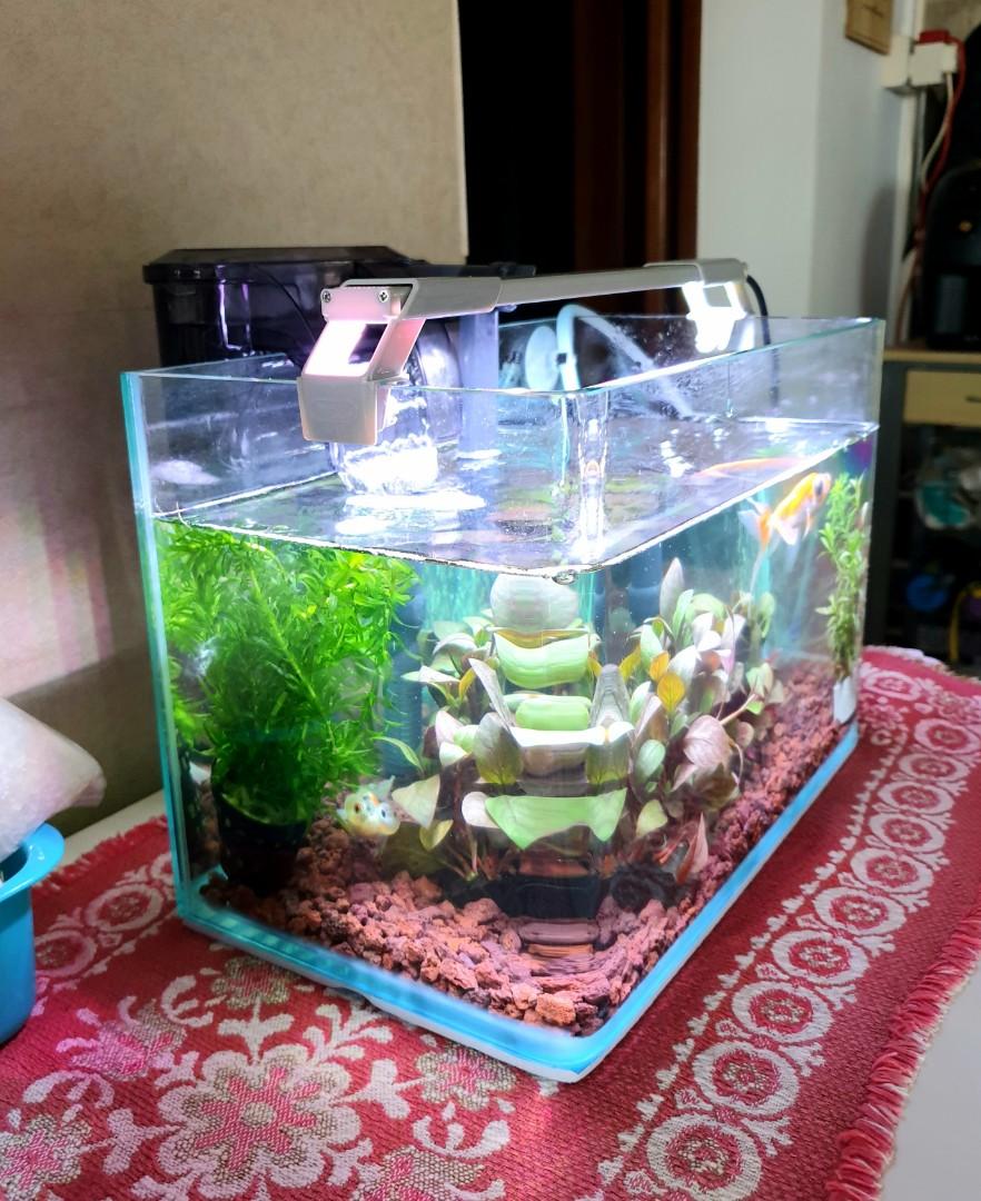 30*17*20cm Ocean Free (OF) Glass Fish Tank Aquarium with Med Filter, 2x ...