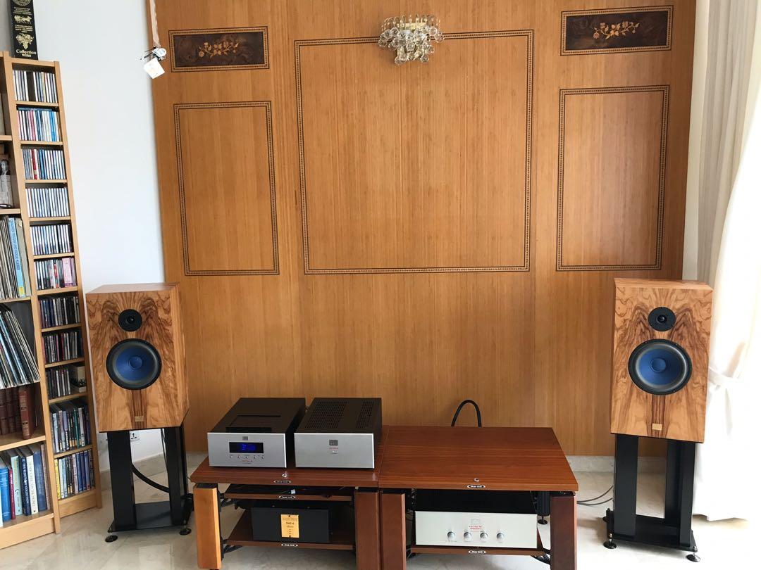 Audio Note AN-J LX Hemp with AN stands, Audio, Other Audio Equipment on ...