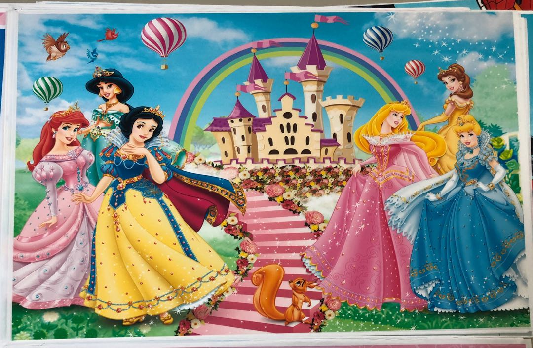 Disney princess backdrop, Everything Else on Carousell
