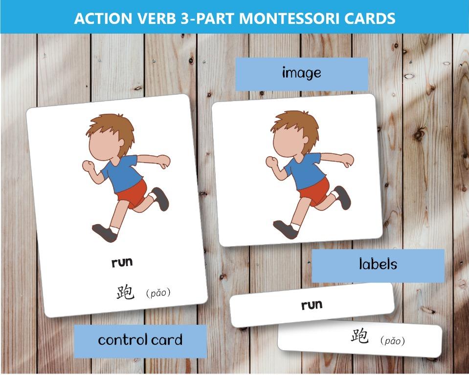 Montessori 3 Part Cards (Action Verbs) in Bilingual / English / Chinese ...