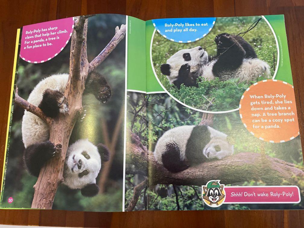 Ranger Rick Junior Magazines (2019 edition), Books & Stationery ...