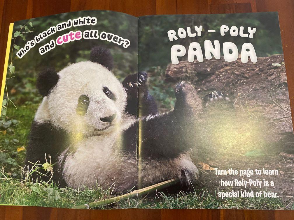 Ranger Rick Junior Magazines (2019 edition), Books & Stationery ...