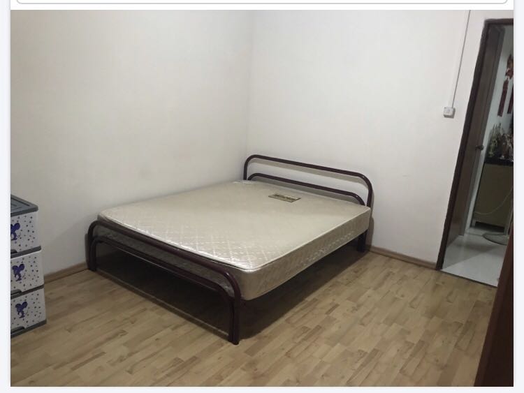Used bed frame, Furniture & Home Living, Furniture, Bed Frames ...