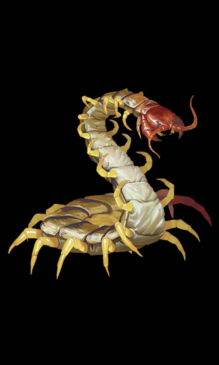 Lipan Geliga Pahlawan Geliga Lipan Centipede Pearl, Everything Else on ...