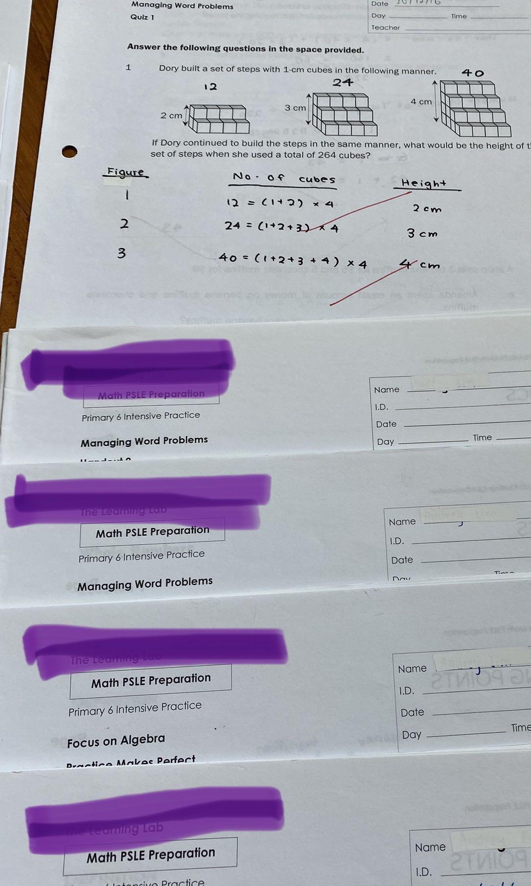 PSLE Revision Notes Maths Science, Hobbies & Toys, Books & Magazines ...