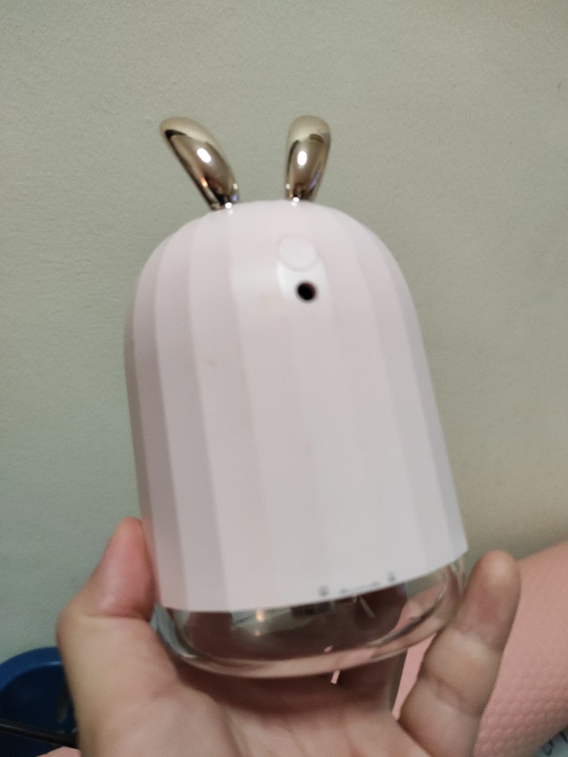 Diffuser, Everything Else on Carousell