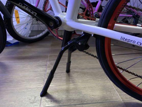 (SG ready stock, free installation) Litepro plus stand , Litepro Bike ...