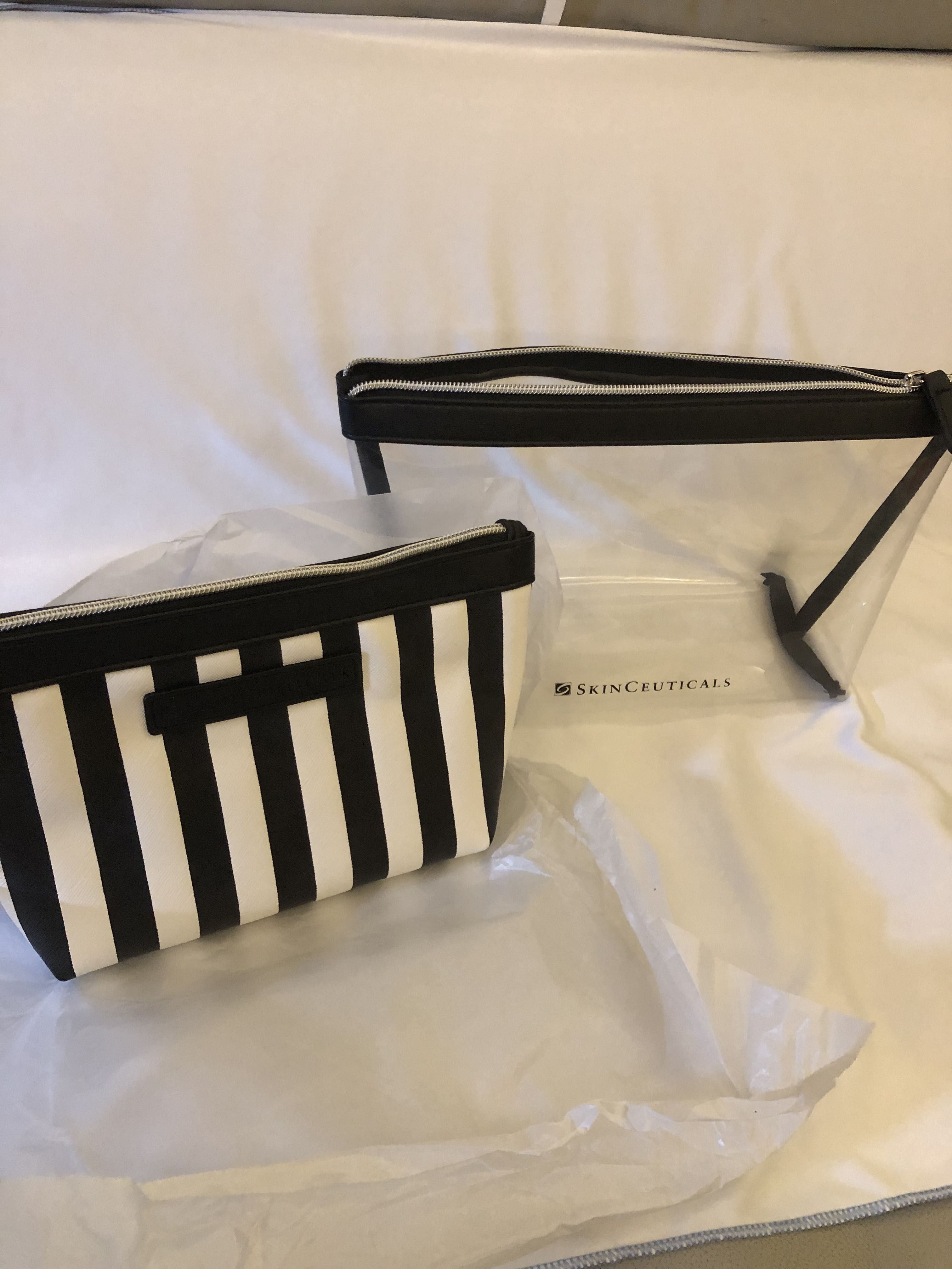 Skinceuticals 2-in-1 Pouch, Women's Fashion, Bags & Wallets, Purses ...