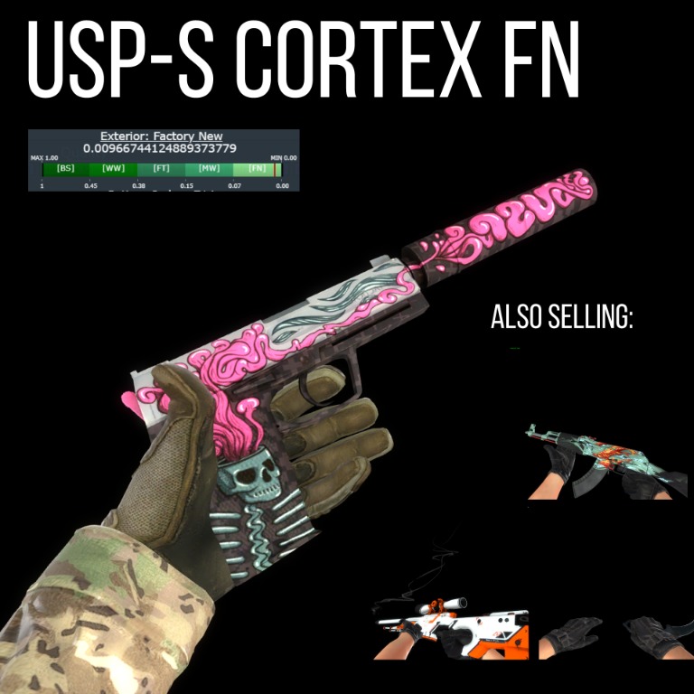 (CSGO) USP-S | Cortex FN, Video Gaming, Gaming Accessories, Game Gift ...