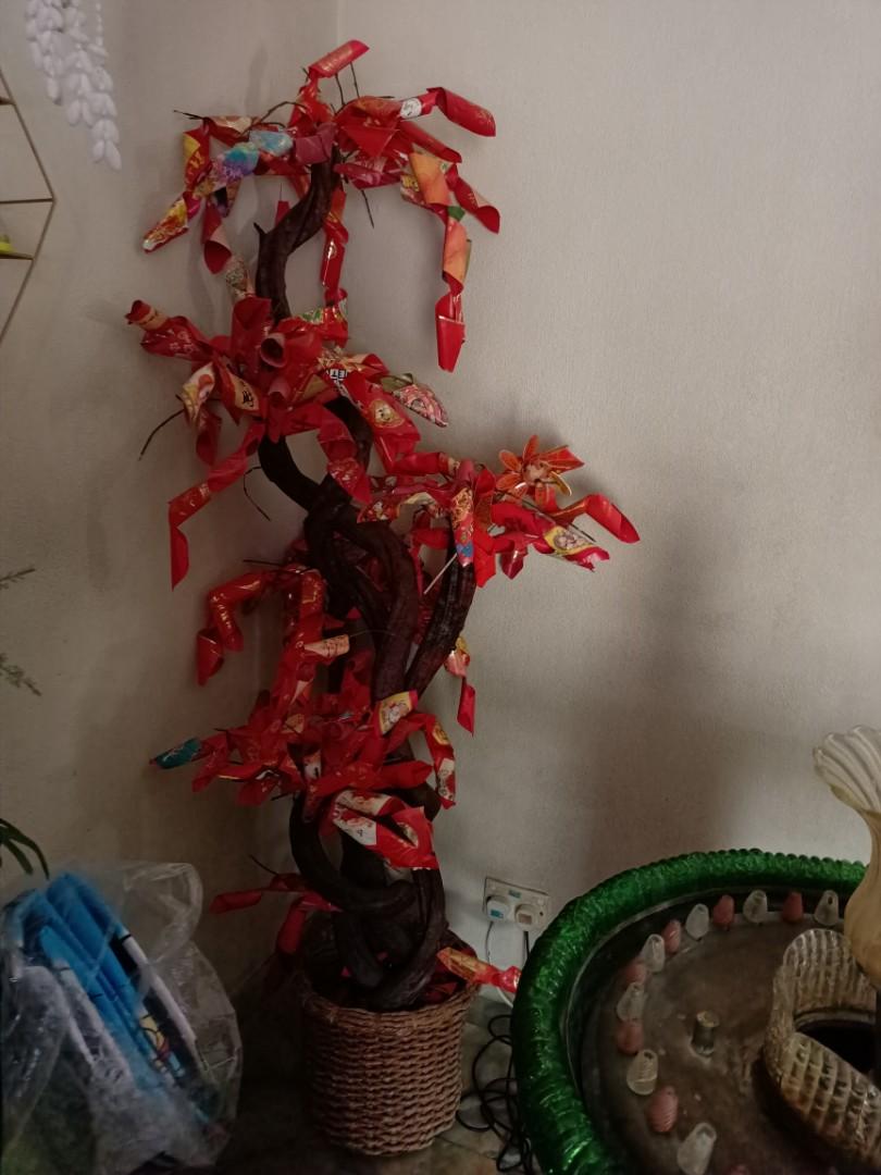 Ang pao tree, Furniture & Home Living, Home Decor, Other Home Decor on ...