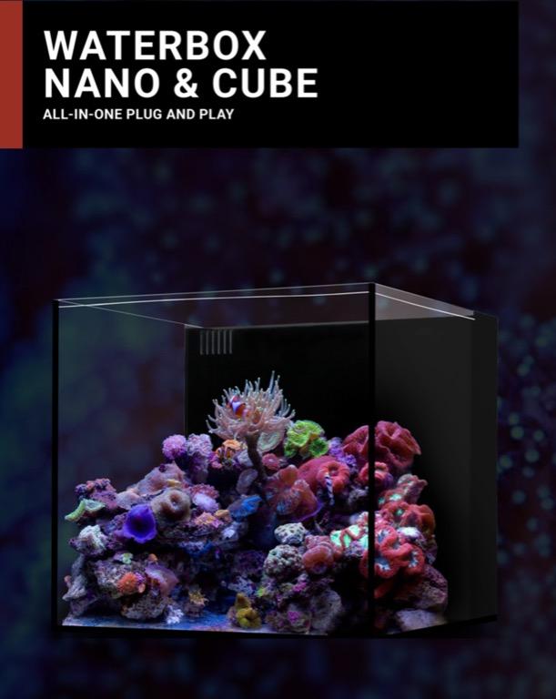Waterbox Aquarium cube Nano 10 USA / reef freshwater shrimp tank ...