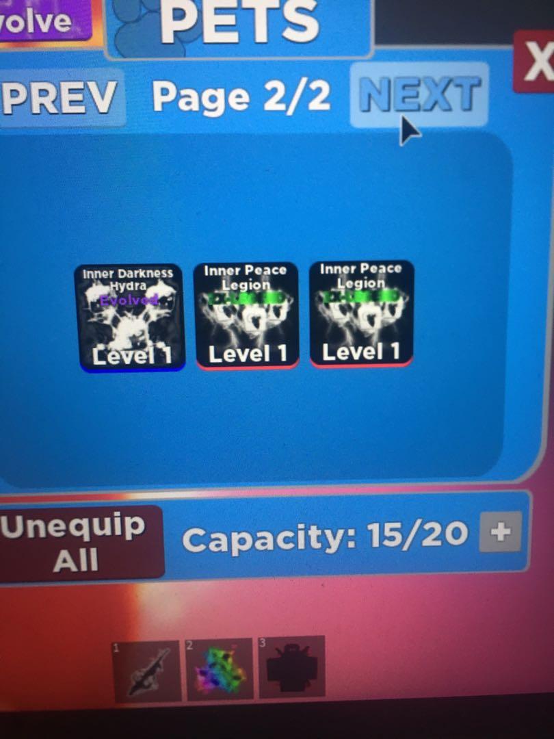 ninja legends pet, Video Gaming, Gaming Accessories, Game Gift Cards ...