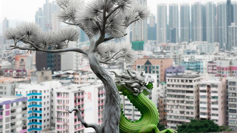 [Pre-Order] LUDO Dragon Tree 30cm Limited Edition of 100 Worldwide ...