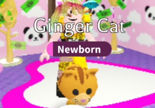 Adopt Me Ginger Cat, Hobbies & Toys, Toys & Games on Carousell