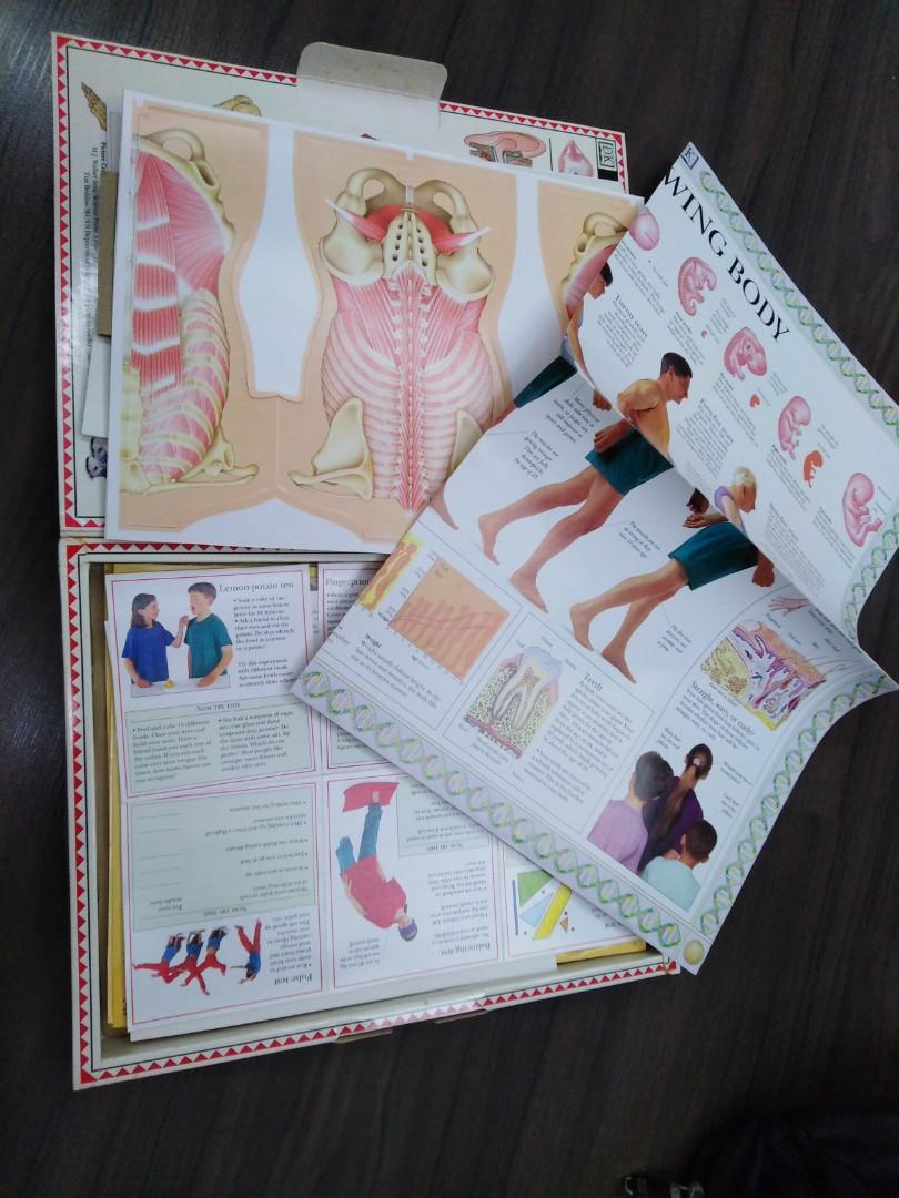 DK interactive guide to Human Body, Hobbies & Toys, Books & Magazines ...