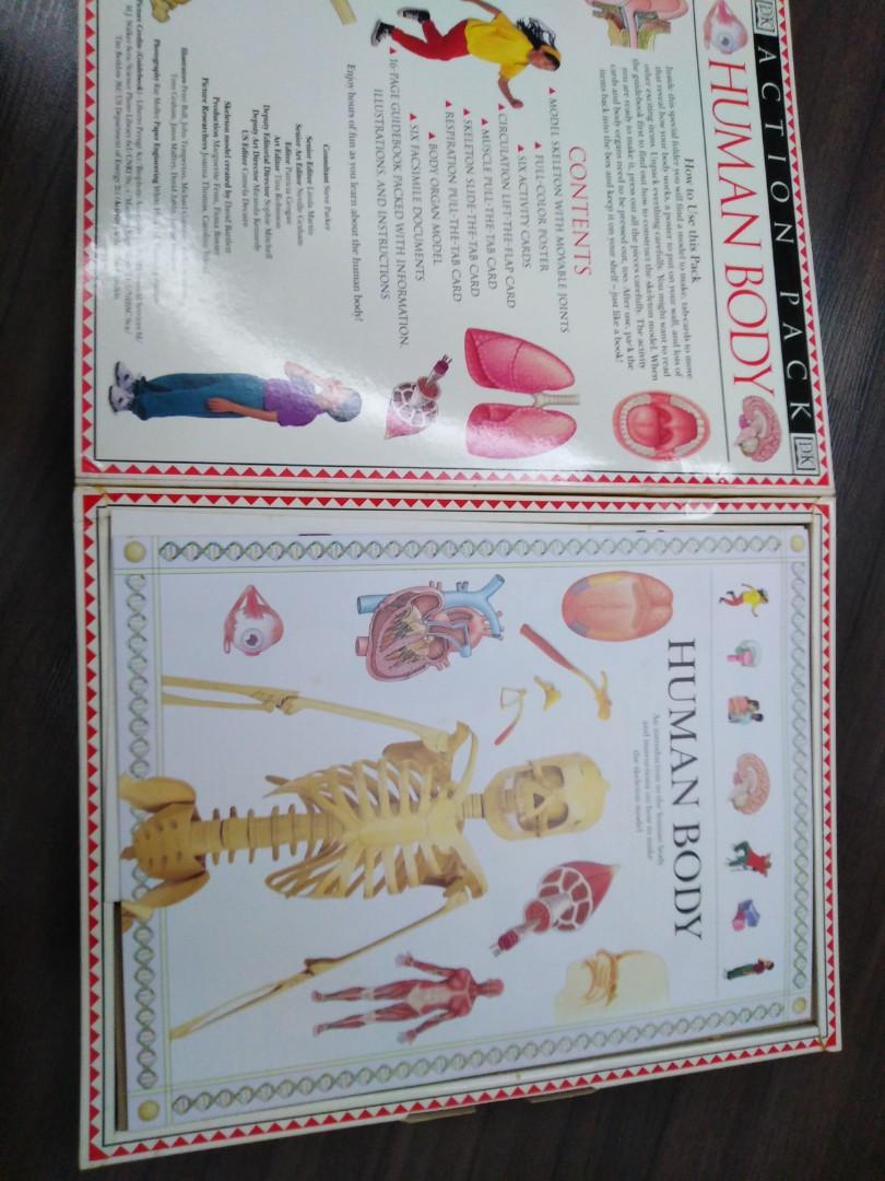DK interactive guide to Human Body, Hobbies & Toys, Books & Magazines ...