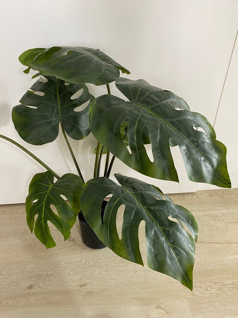 Realistic Artificial fake monstera plant, Furniture & Home Living, Home ...