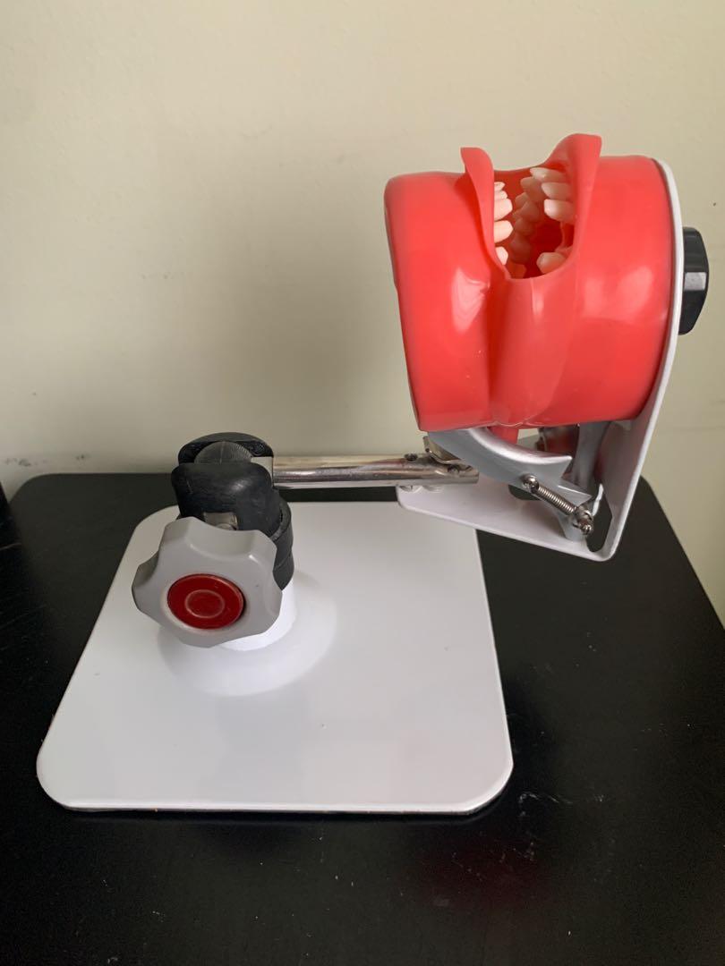 Nissin Typodont articulator with rubber cheek and mount, Everything ...