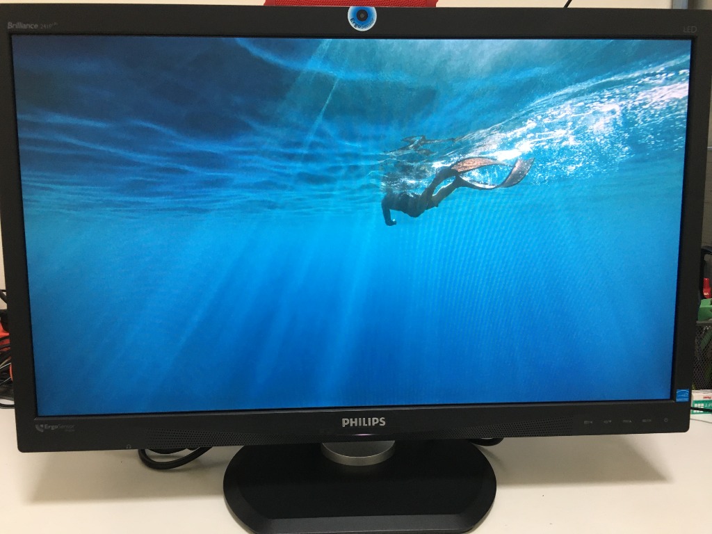 Philips Brilliance 24 Inch Full HD Computer Monitor 241P4LRY, Computers ...