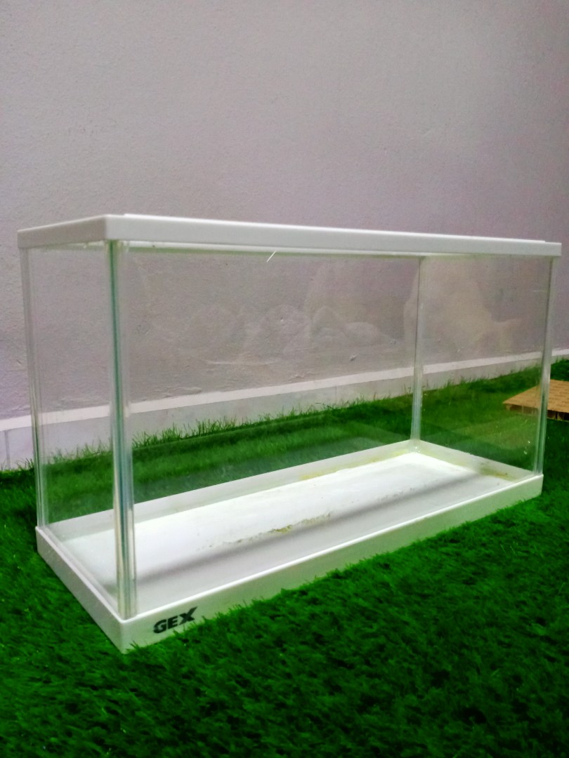 Gex Deskboy, Pet Supplies, Homes & Other Pet Accessories on Carousell