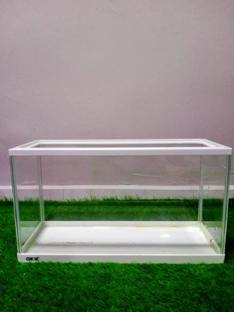 Gex Deskboy, Pet Supplies, Homes & Other Pet Accessories on Carousell