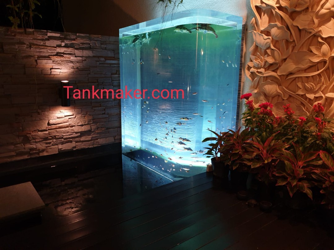 Inverted Tank 6ft Tall, Pet Supplies, For Fish, Fish Tanks on Carousell