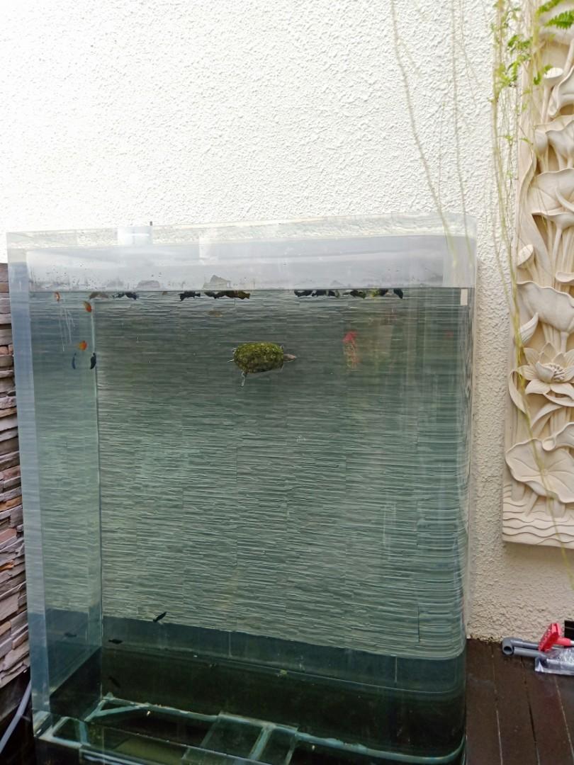Inverted Tank 6ft Tall, Pet Supplies, For Fish, Fish Tanks on Carousell
