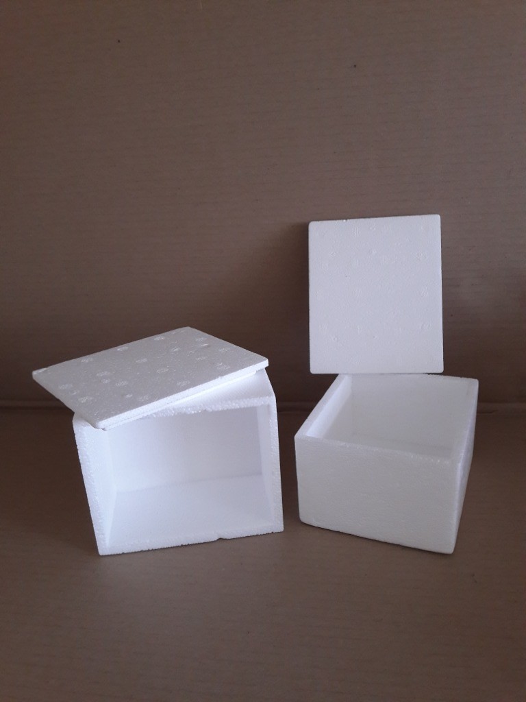 Styrofoam Box with Cover - Small, Everything Else on Carousell