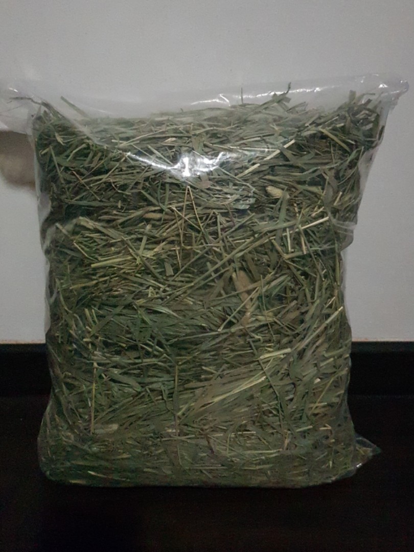 BNIB 1KG Timothy Hay (in ziplock bag), Pet Supplies, Pet Food on Carousell