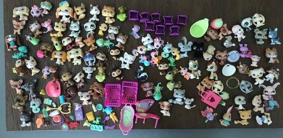 Little pet shop - box collector, Hobbies & Toys, Toys & Games on Carousell