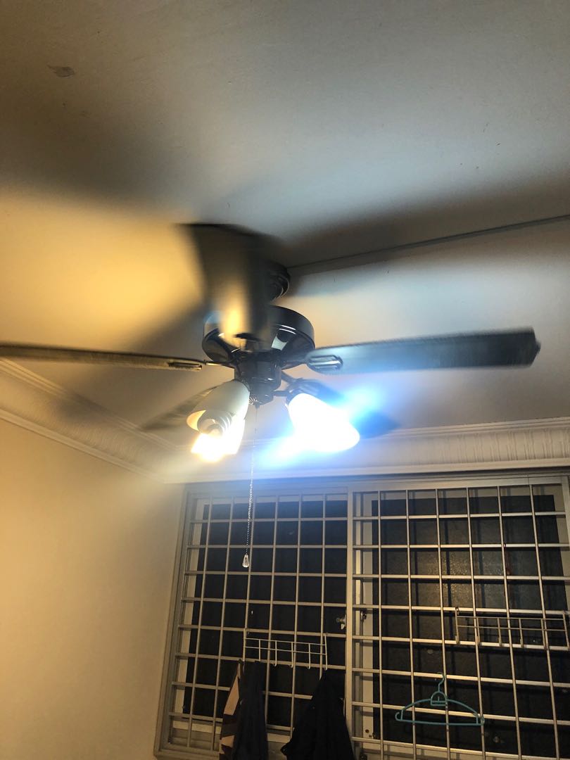 Sniper Ceiling Fan with light, Furniture & Home Living, Lighting & Fans ...