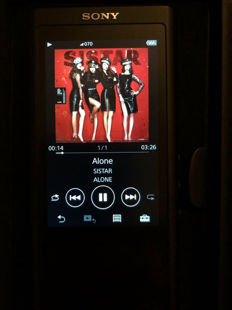 Sony 300a DAP, 音響器材, 可攜式音響設備 - Carousell