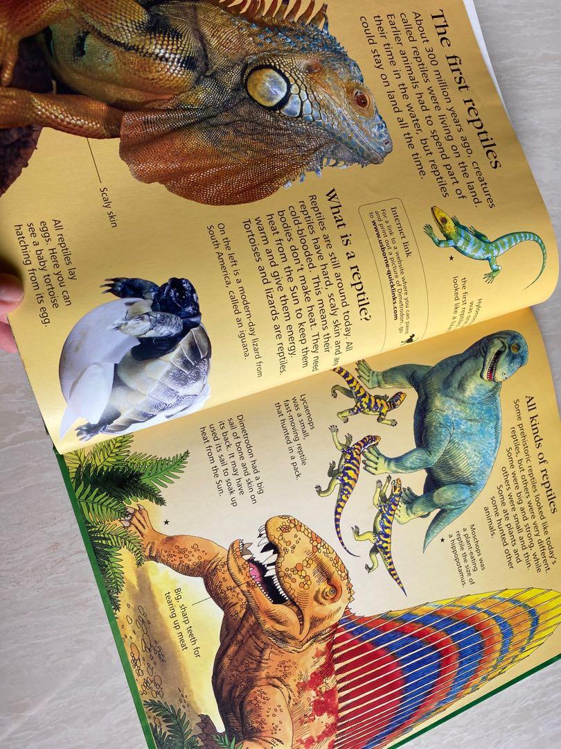 The usborne first encyclopedia of dinosaurs and prehistoric life ...