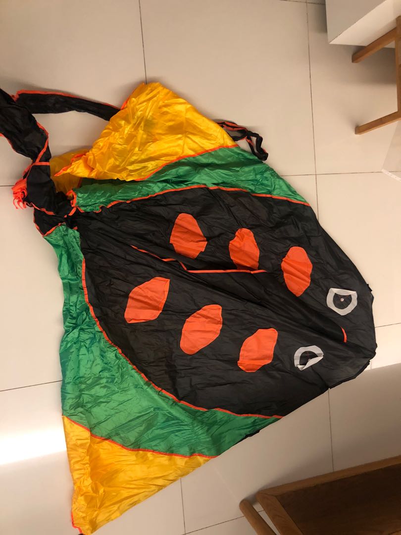 5.5 meter stingray kite, Everything Else on Carousell
