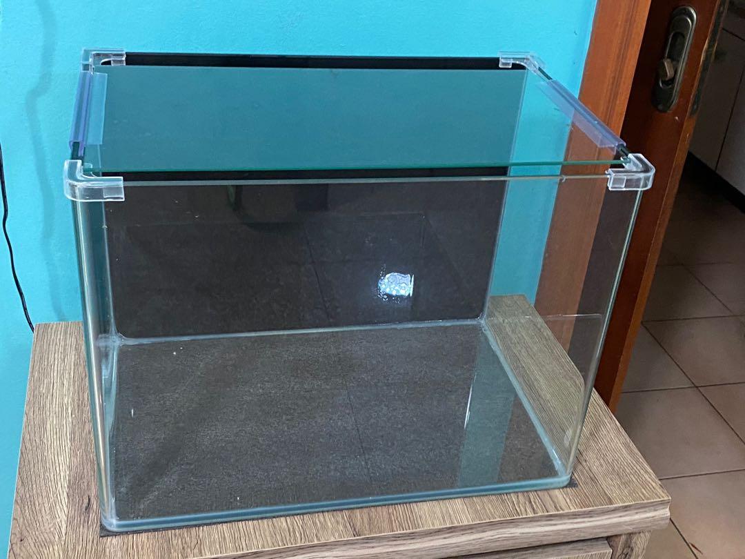 Curved glass aquarium with glass lid , mat and black background, Pet ...