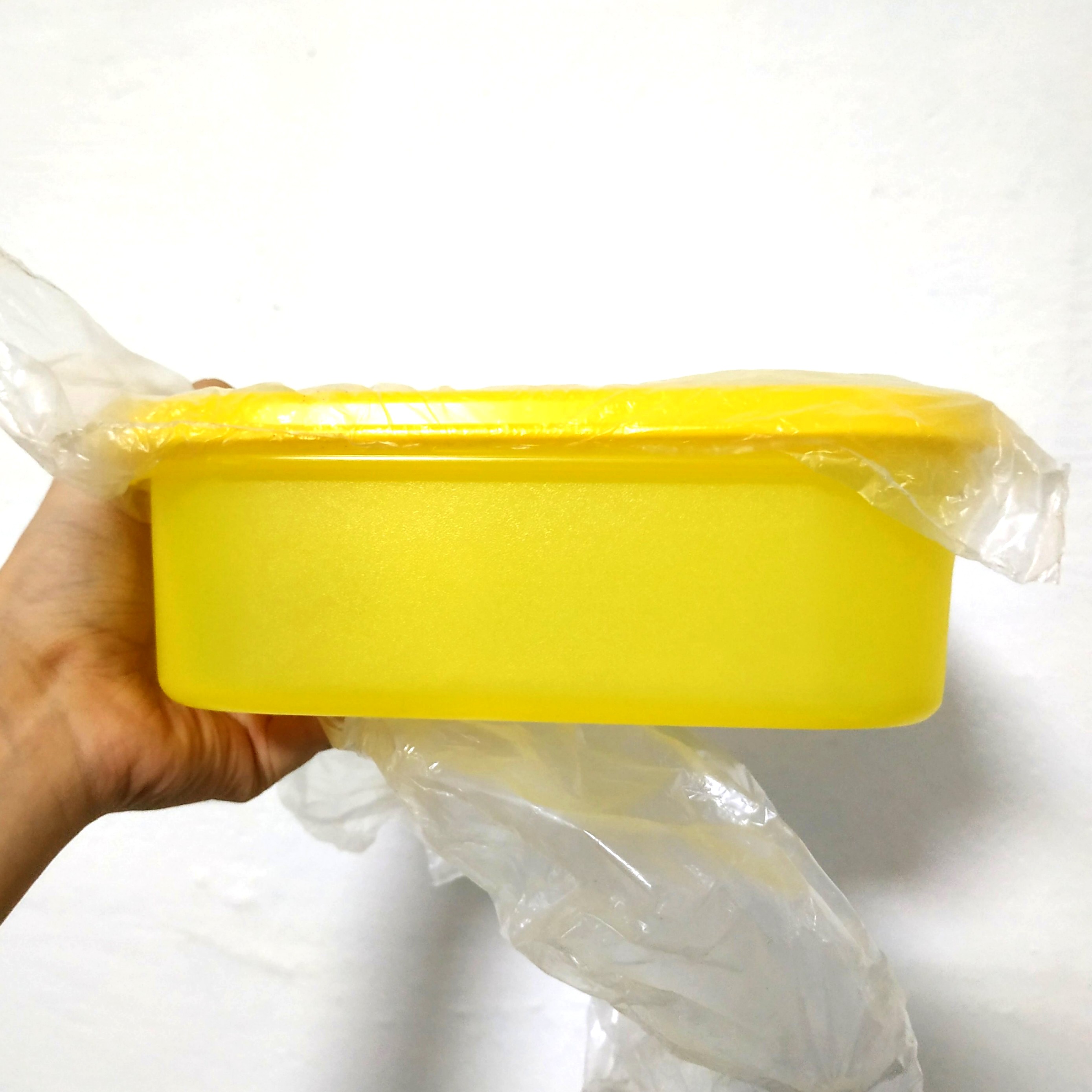 Tupperware 1.2L Limited Edition Stuffables Expandable Lid Square ...