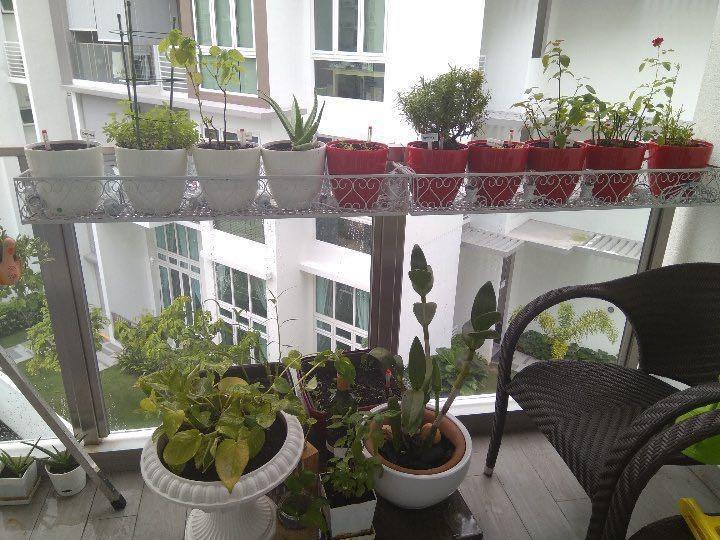 PLANT FLOWER POT BALCONY RAILING SHELF HANGING RACK HOME GARDEN ...
