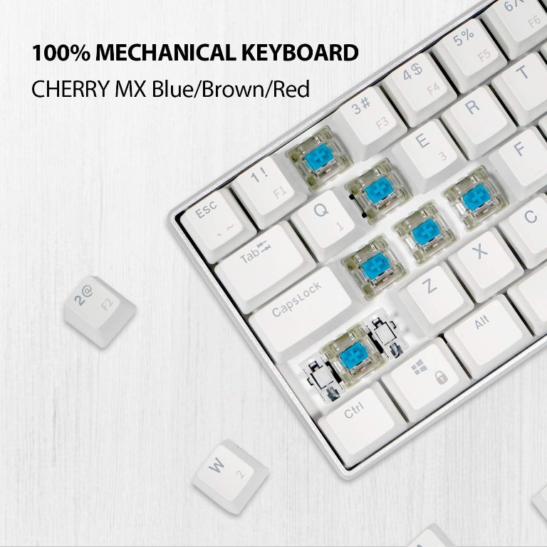 RK ROYAL KLUDGE RK61 Pro RGB Programmable Mechanical Gaming Keyboard ...