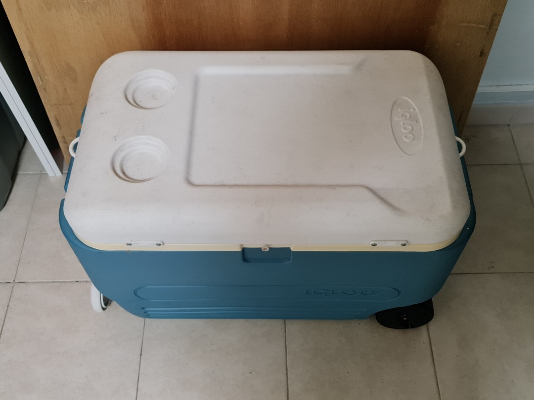 Igloo Huge Cooler Box Container, Everything Else on Carousell